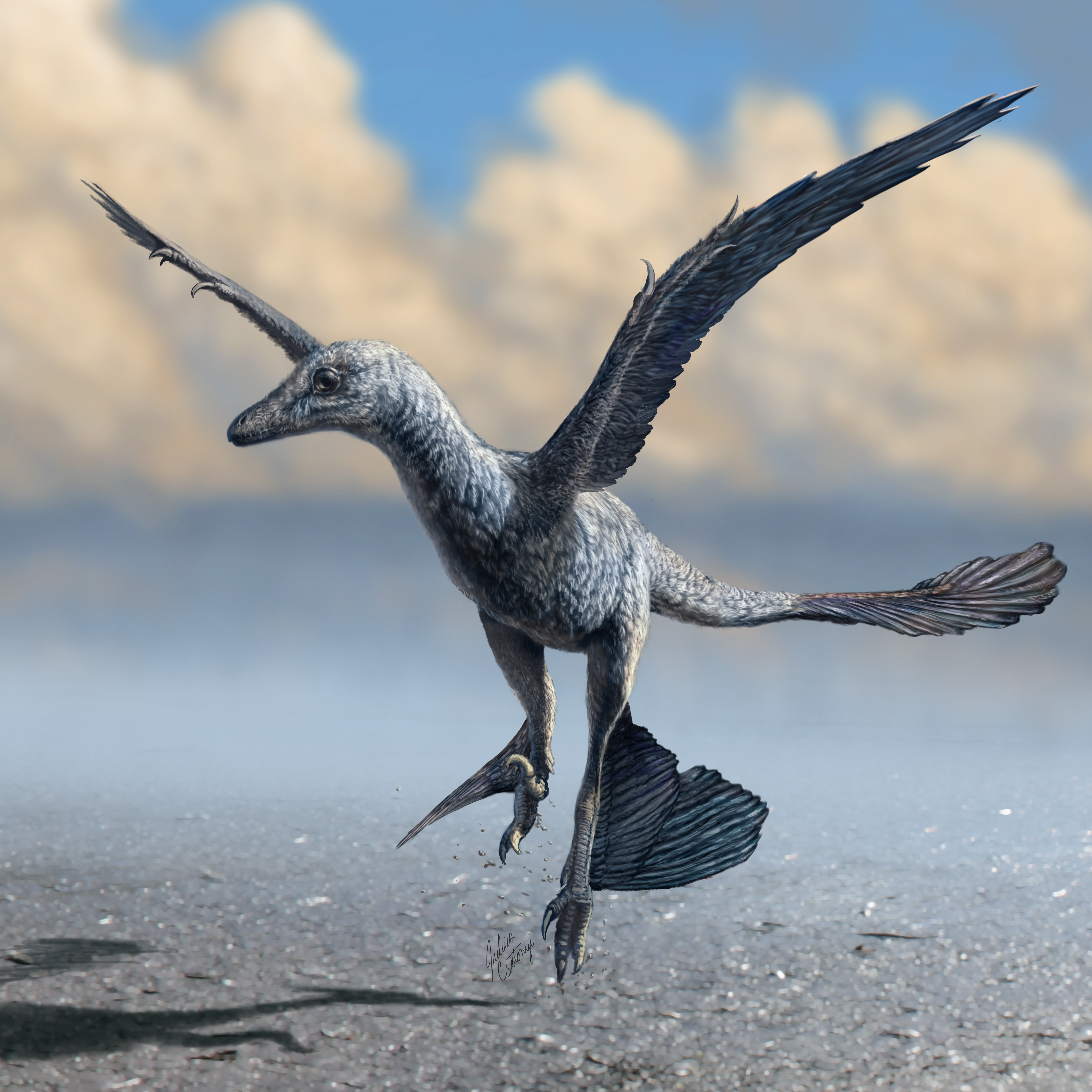 Researchers Solve Mystery of ‘Dinky’ Dinosaur’s Unusually Long Stride ...