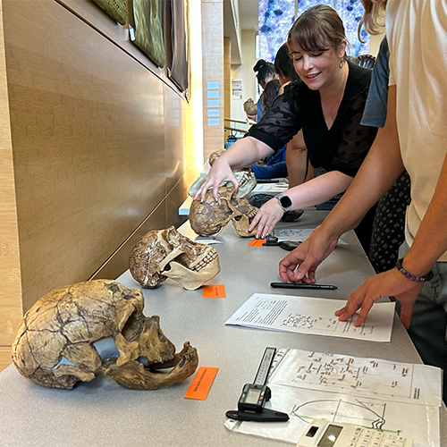 ‘Beyond Race’ Biology Course Busts Myths About Human Diversity ...