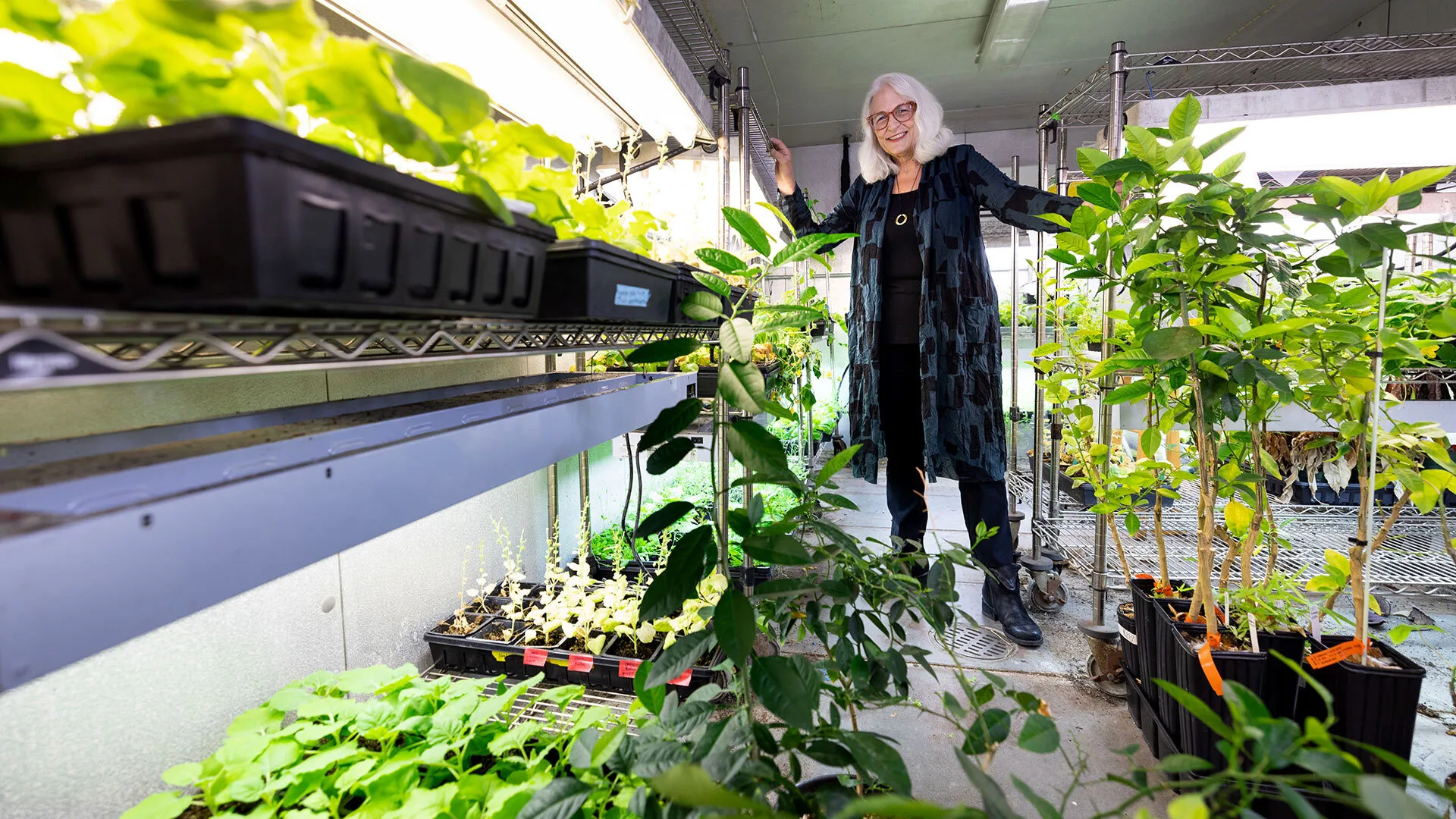 Professor Anne Simon’s $16M Planned Gift to Support Professors ...