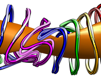 UMD Physicist Improves Method for Designing Fusion Experiments ...