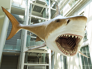 UMD Entomologist Bretton Kent Helped Smithsonian Reconstruct a Life ...