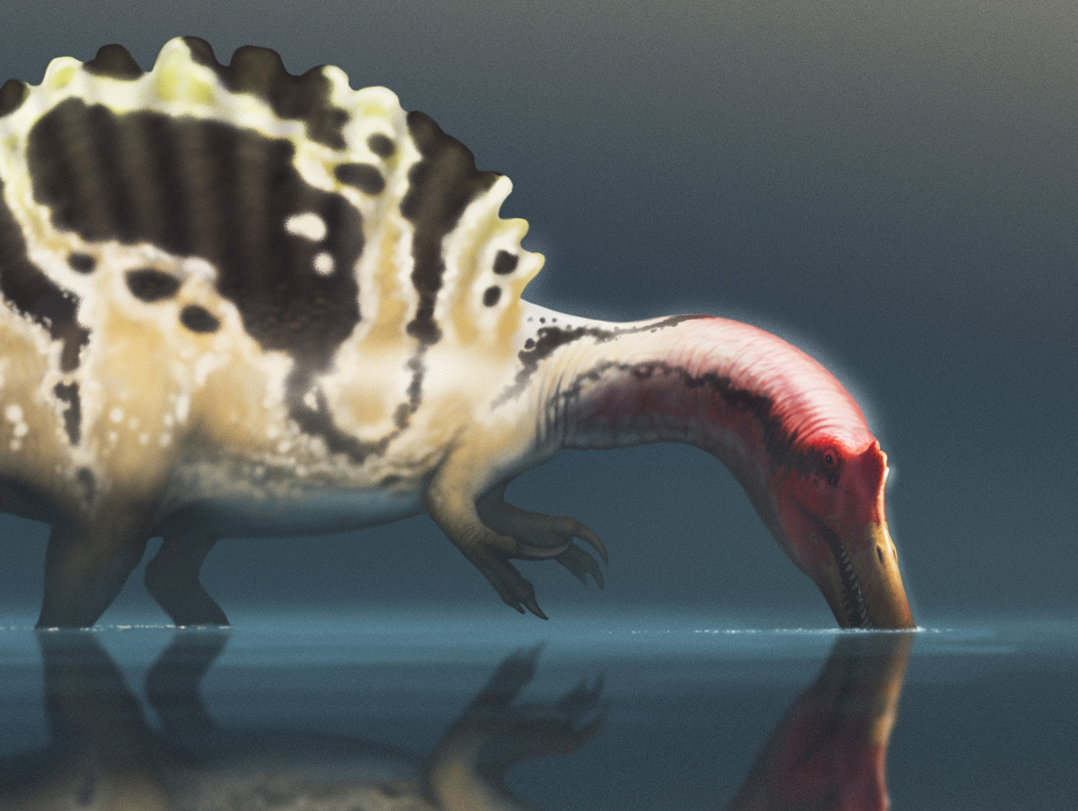 Spinosaurus Was More Heron than Crocodile | College of Computer ...