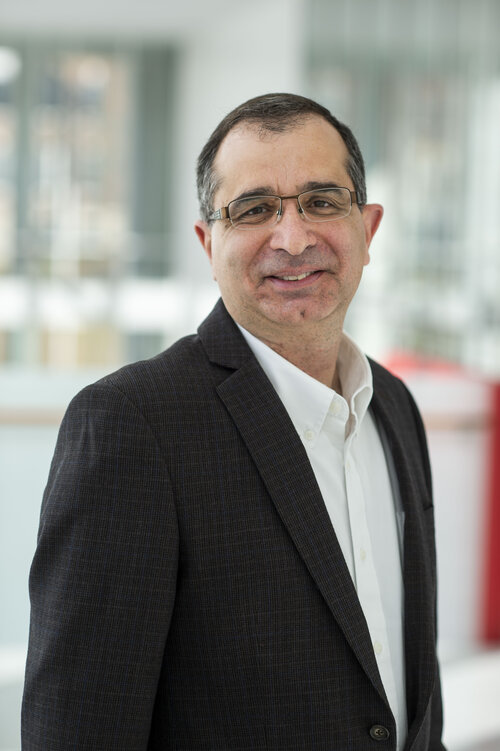 Najib El-Sayed | College of Computer, Mathematical, and Natural ...